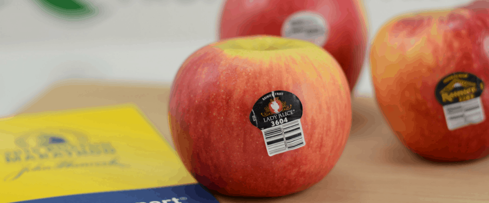 All Eyes on Boston: Meet Our Rainier Fruit Runners - Rainier Fruit